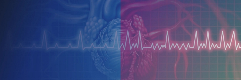 Home | NEC Labs America