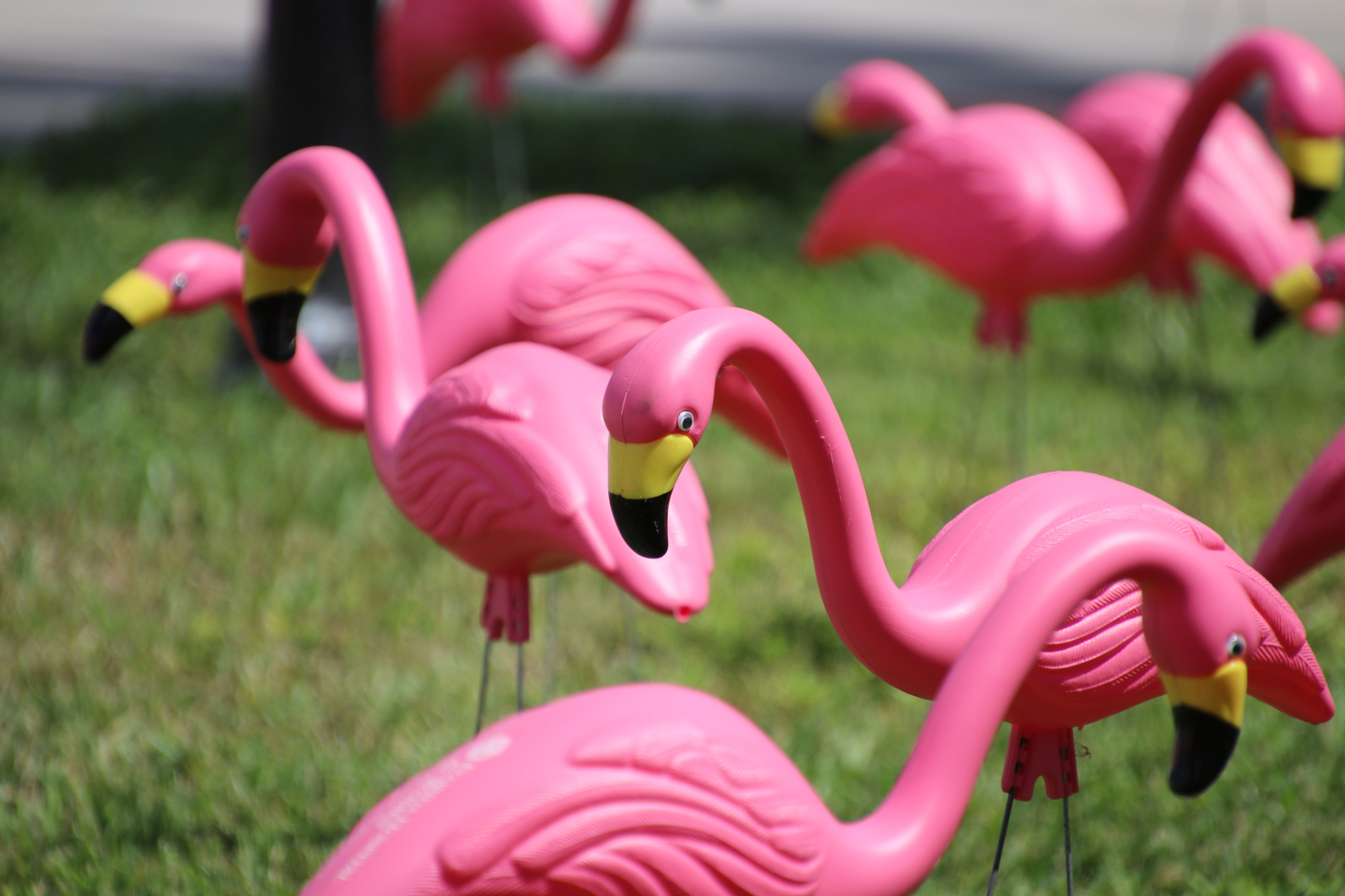 NEC Labs America's Top 10 Most Legendary College Pranks